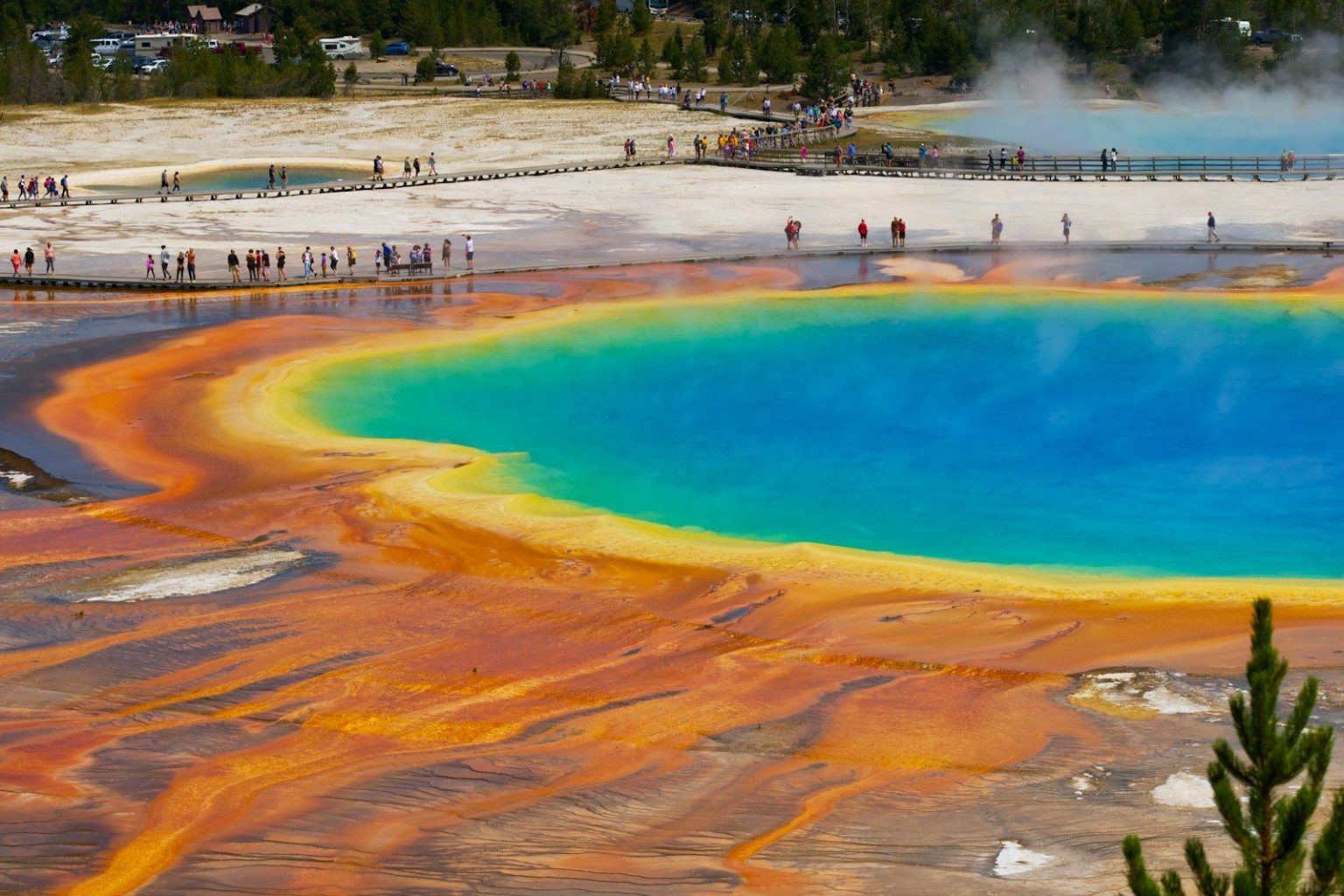 Scientists Found a Rare Brain-Eating Amoeba in Popular National Park ...